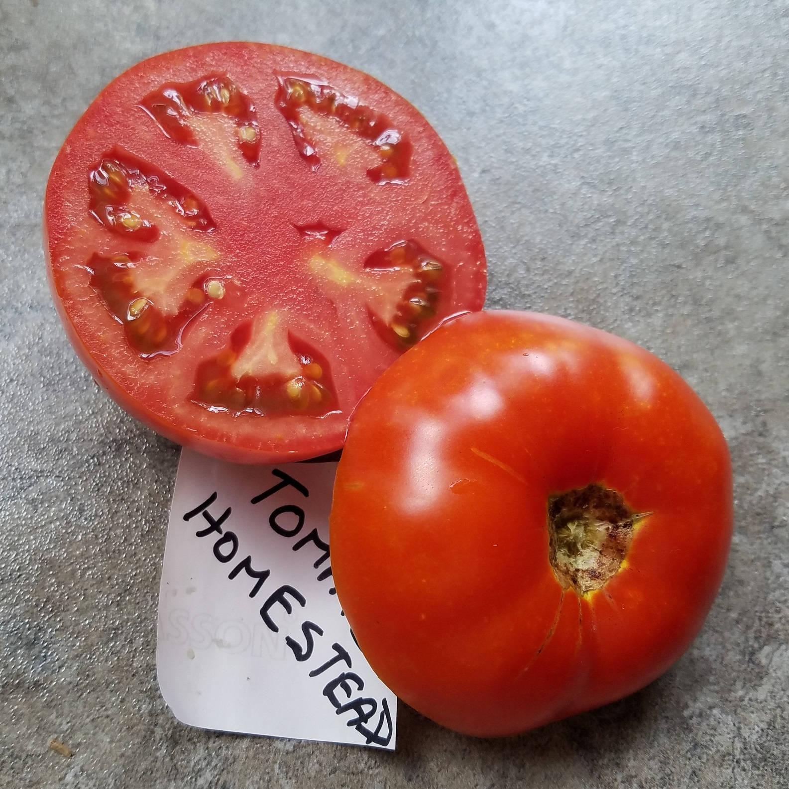 Tomate Homestead – Dinkos