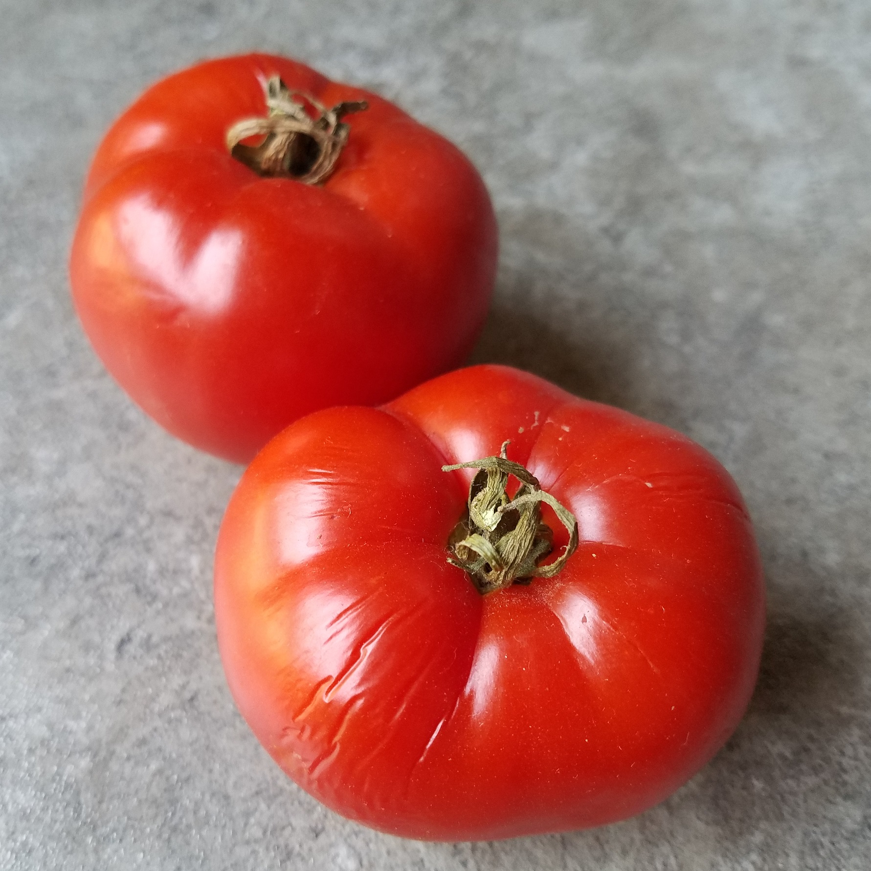 Tomate Homestead – Dinkos