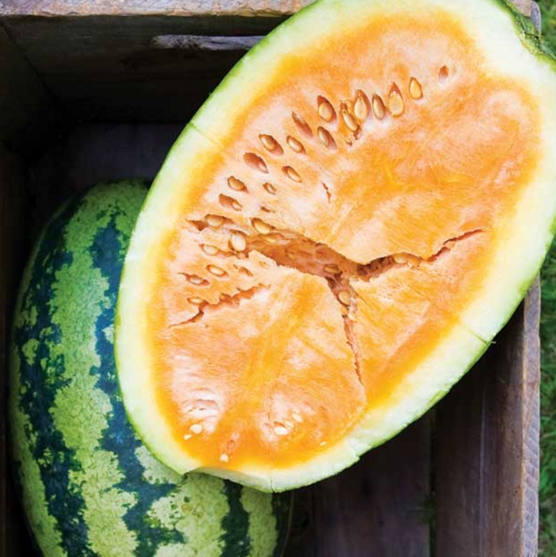 Sandias – Dinkos